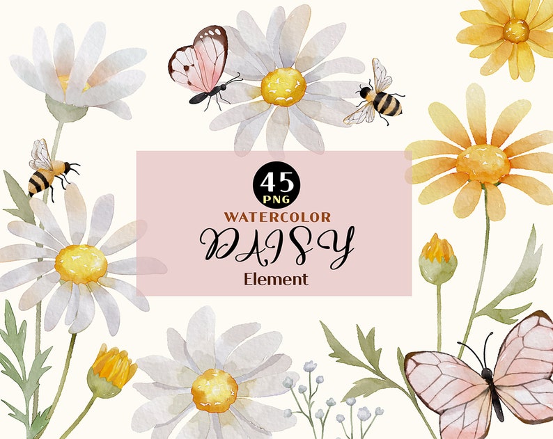 Daisy Clip Art Wild Flower Clipart White Daisy PNG - Etsy