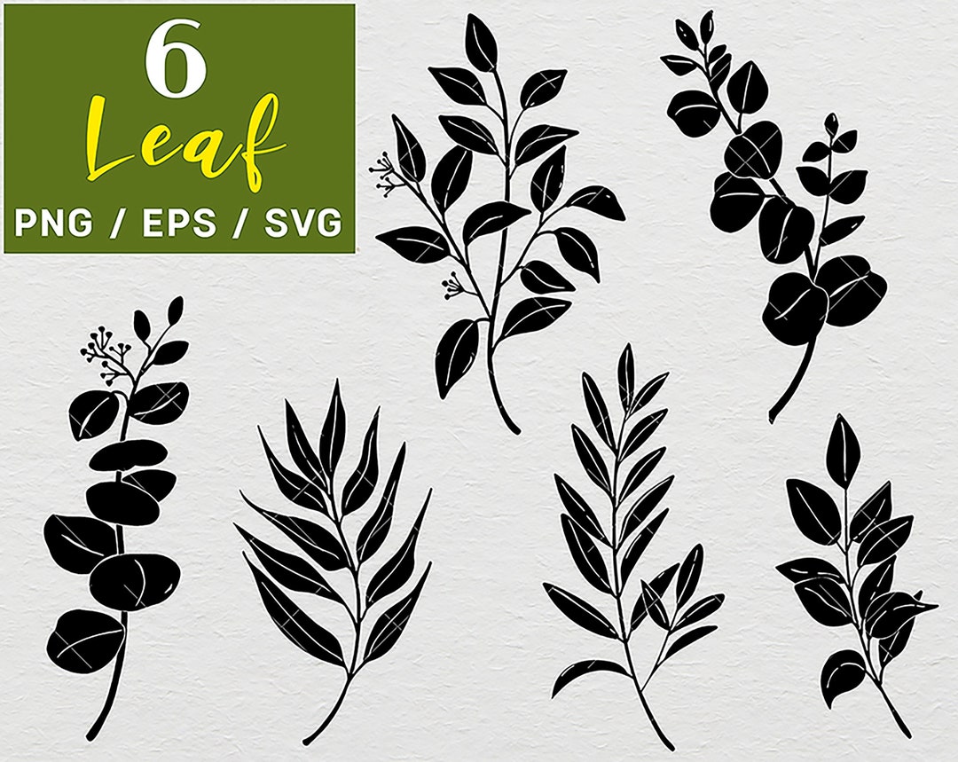 Plant Svg, Botanical Svg, Line Drawing SVG, Line Art Svg, Botanical ...