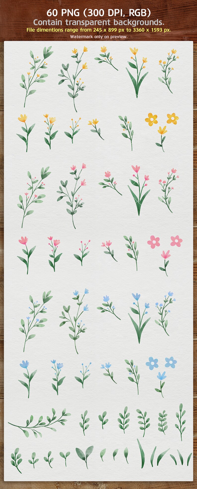 Spring Floral Element Wildflower Clipart Floral Botanical - Etsy