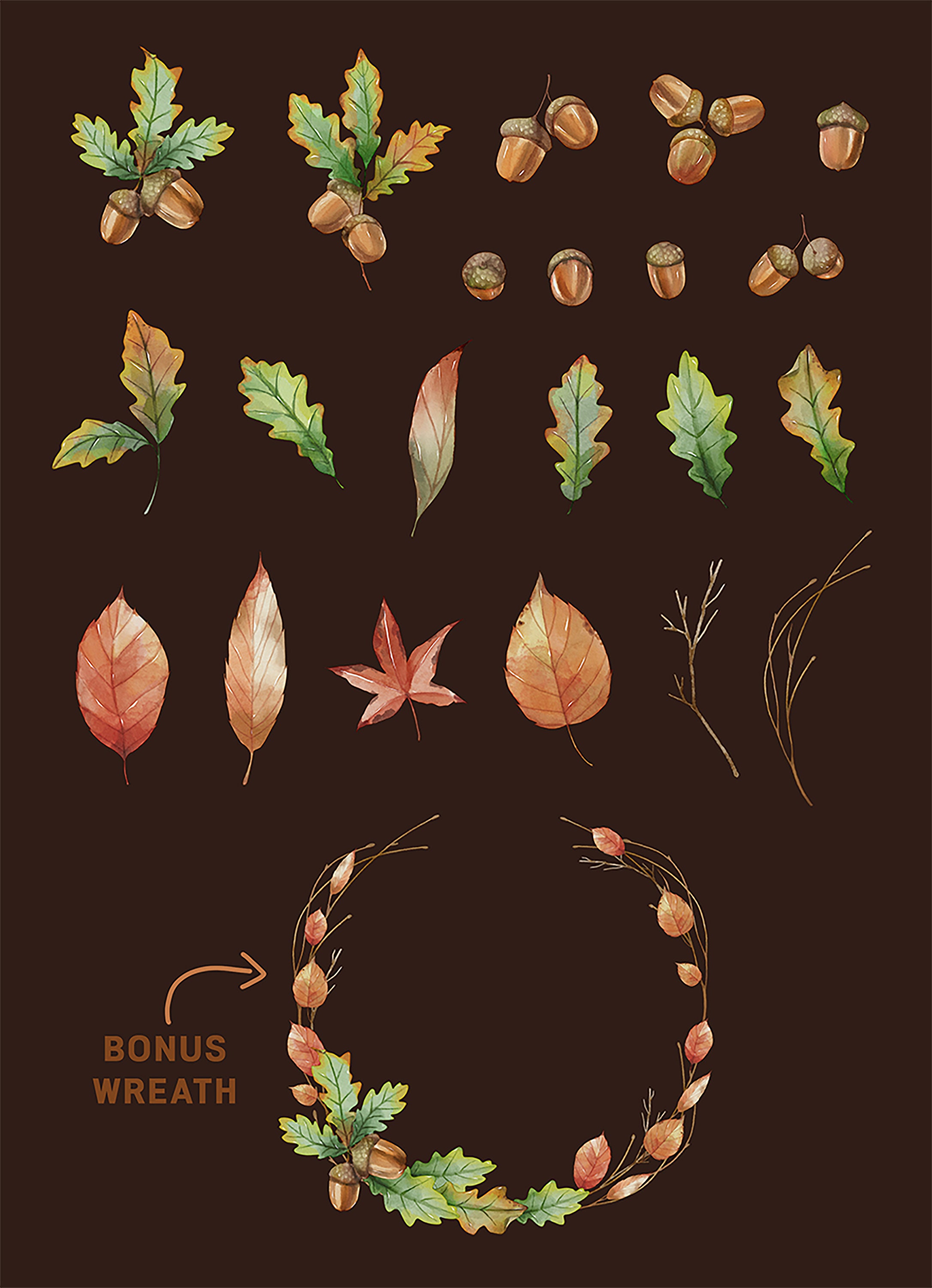 Watercolor Fall Leaves Clipart Autumn Clipart Woodland - Etsy