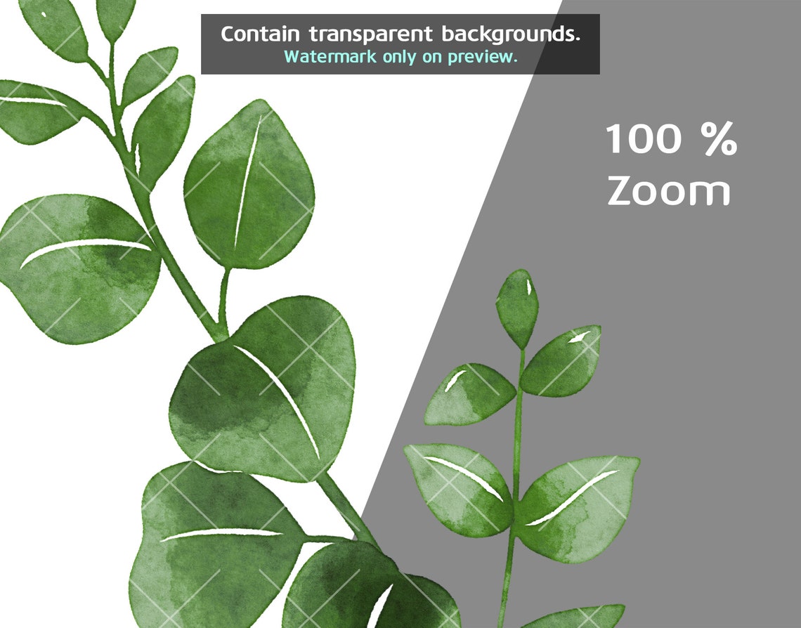 Boho Leaves Clip Art Watercolor Graphics Spring Leaf - Etsy