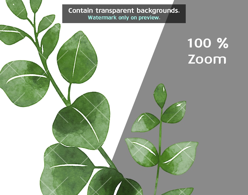 Boho Leaves Clip Art Watercolor Graphics Spring Leaf - Etsy