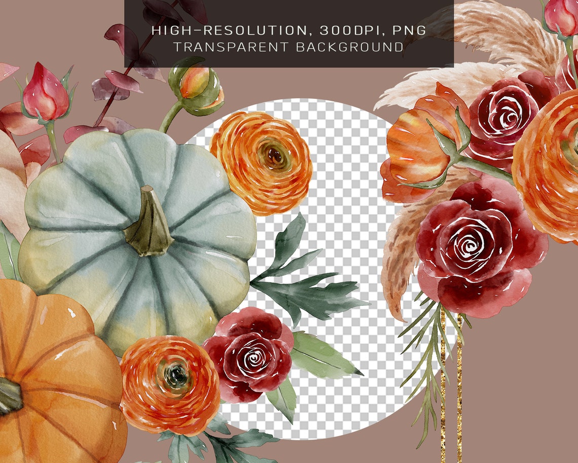 Fall Clipart Watercolor Pumpkin Arrangements Autumn Pumpkins - Etsy