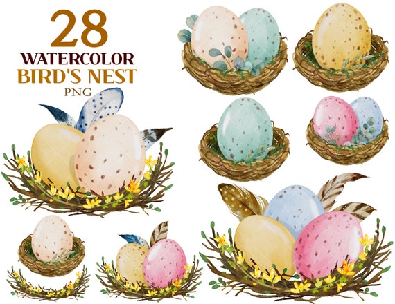 Watercolor Spring Clipart Nest Illustration Bird's Nest | Etsy