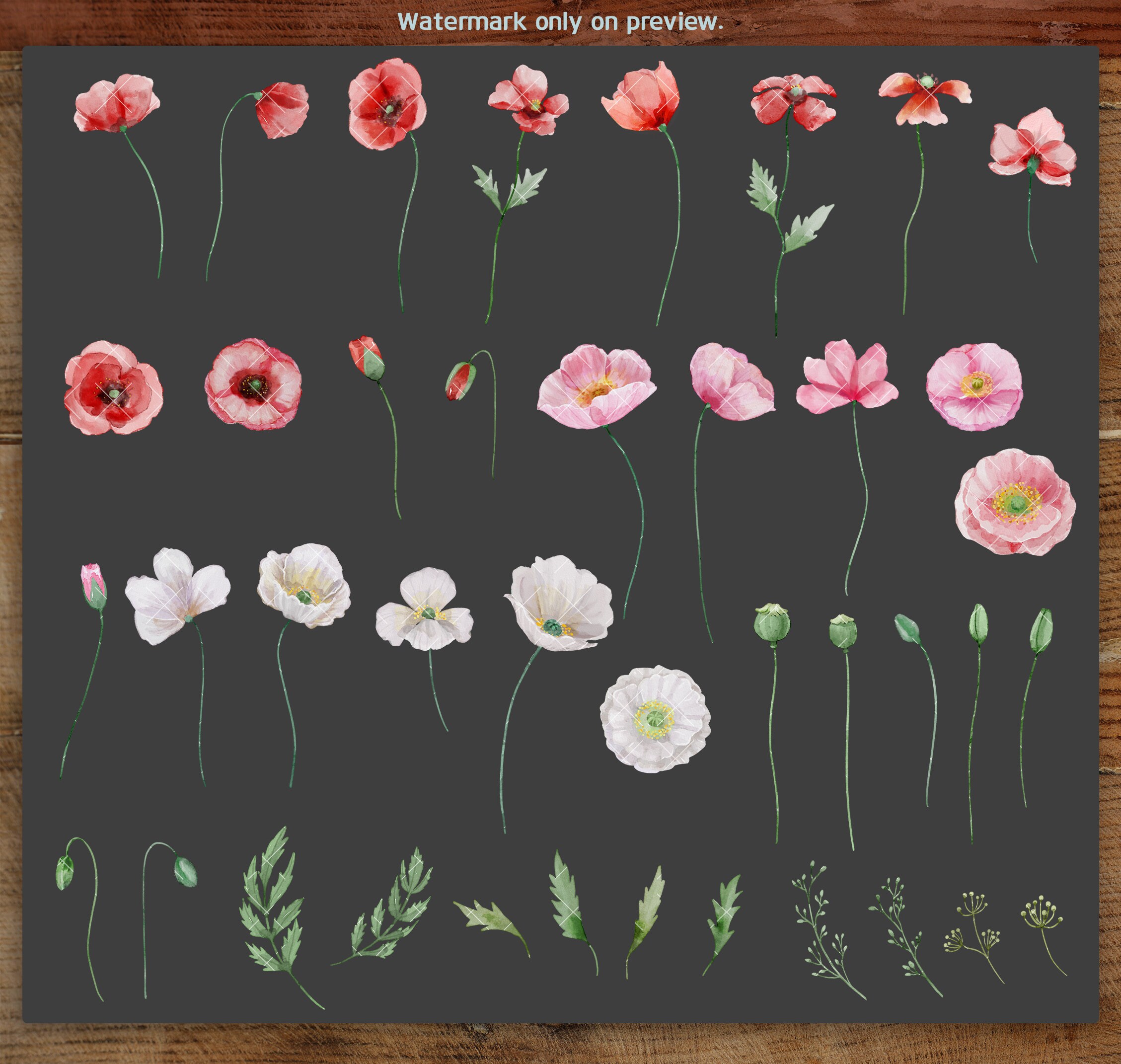 Poppies Flowers Spring Floral Clipart Watercolor Red Poppy - Etsy