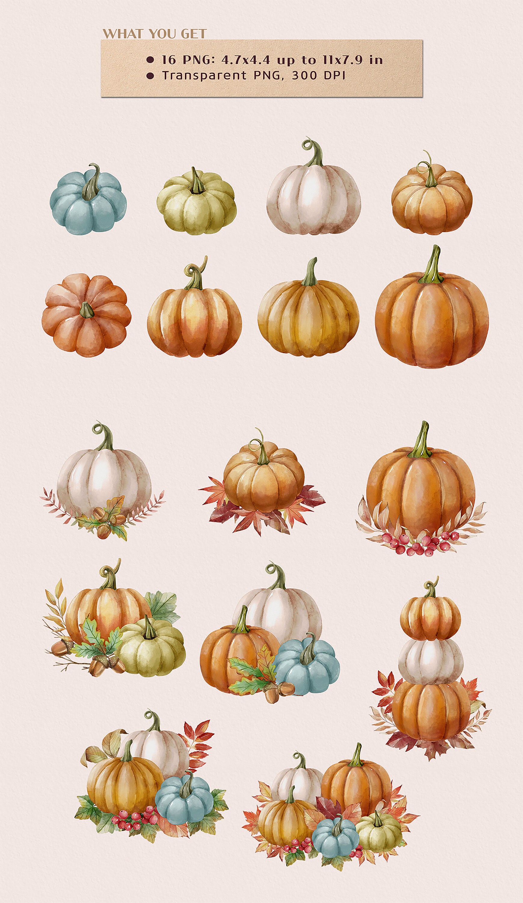 Watercolor Pumpkin Pumpkin Clipart Pumpkin Watercolor - Etsy