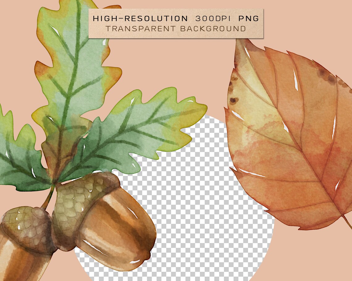 Watercolor Fall Leaves Clipart Autumn Clipart Woodland - Etsy