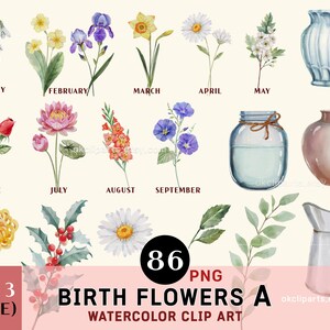 Birth Month Flowers Clipart Watercolor Floral PNG Bundle - Etsy