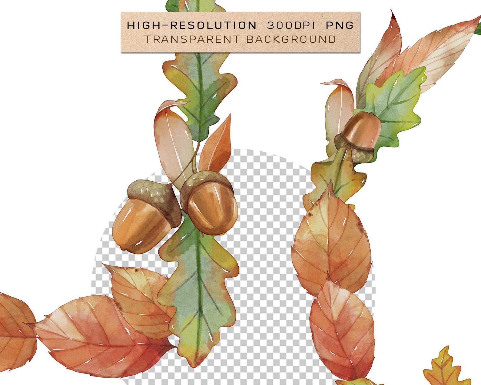 Watercolor Acorn Clipart Watercolor Foliage Wreath - Etsy