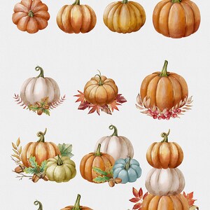 Watercolor Pumpkin Pumpkin Clipart Pumpkin Watercolor - Etsy