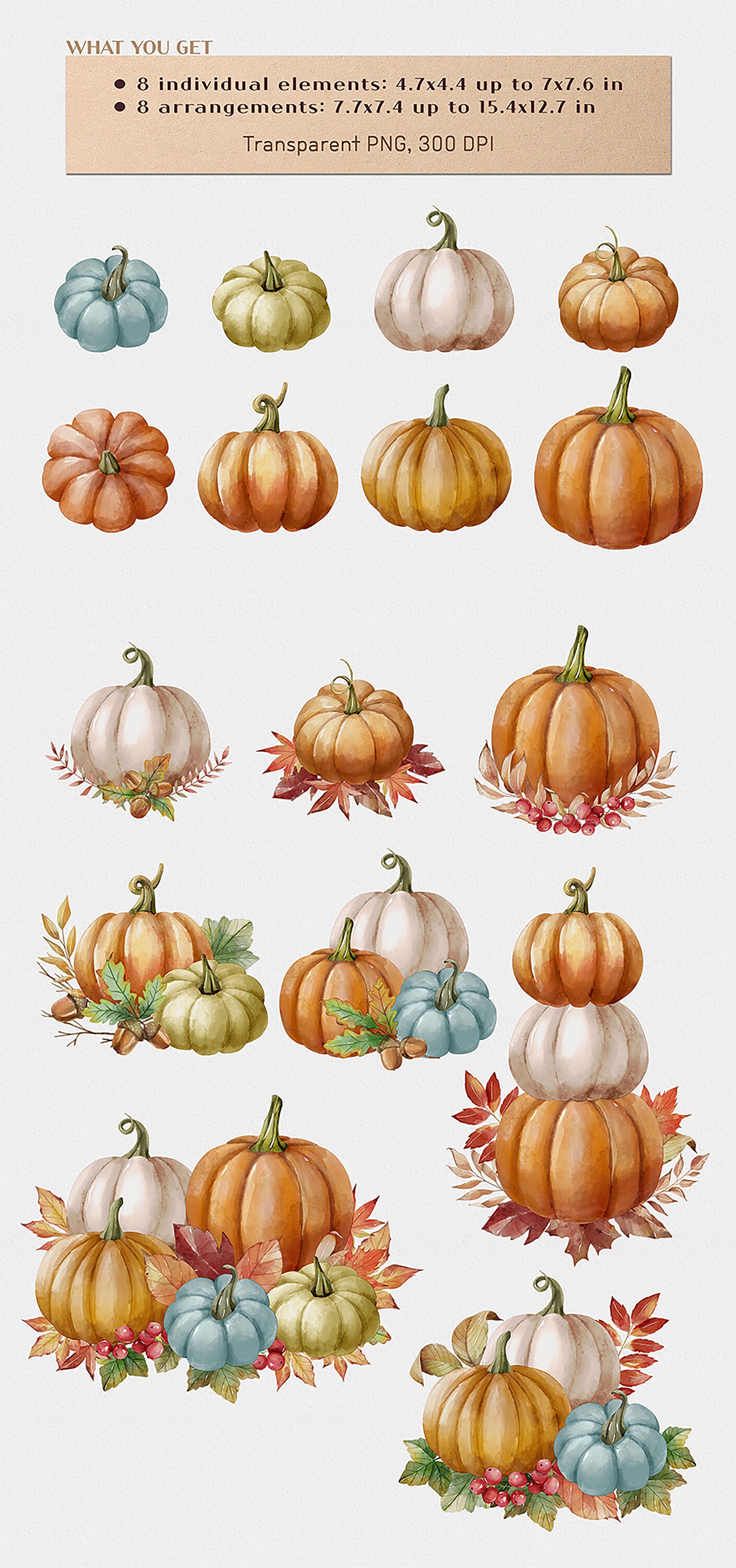 Watercolor Pumpkin Pumpkin Clipart Pumpkin Watercolor - Etsy