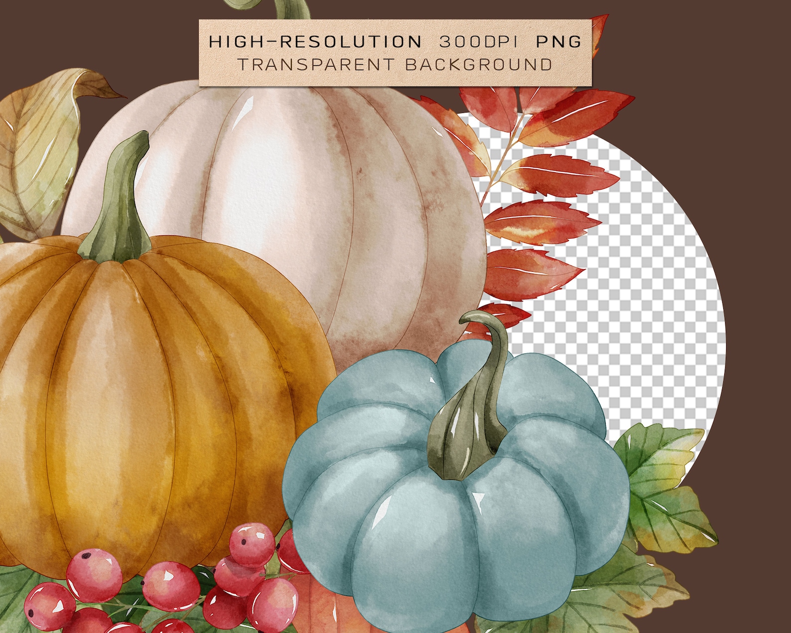 Watercolor Pumpkin Pumpkin Clipart Pumpkin Watercolor - Etsy