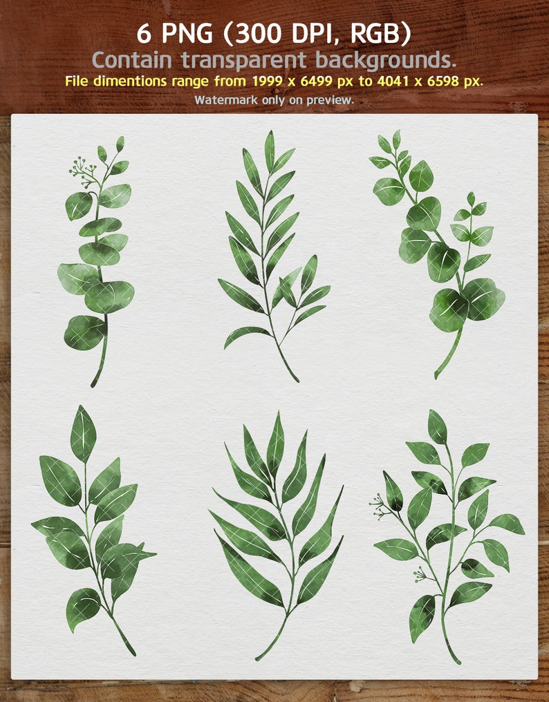 Boho Leaves Clip Art Watercolor Graphics Spring Leaf - Etsy