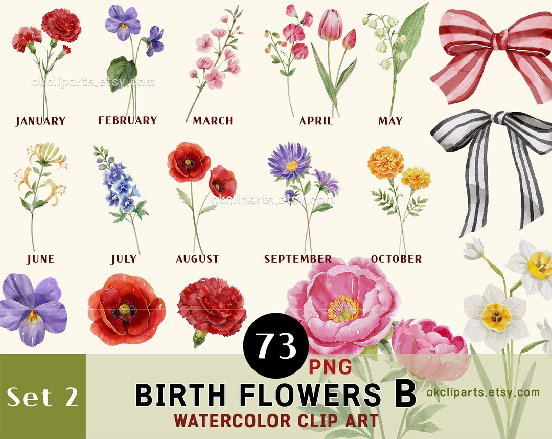 Watercolor Birth Month Flowers Clipart Floral PNG Bundle - Etsy