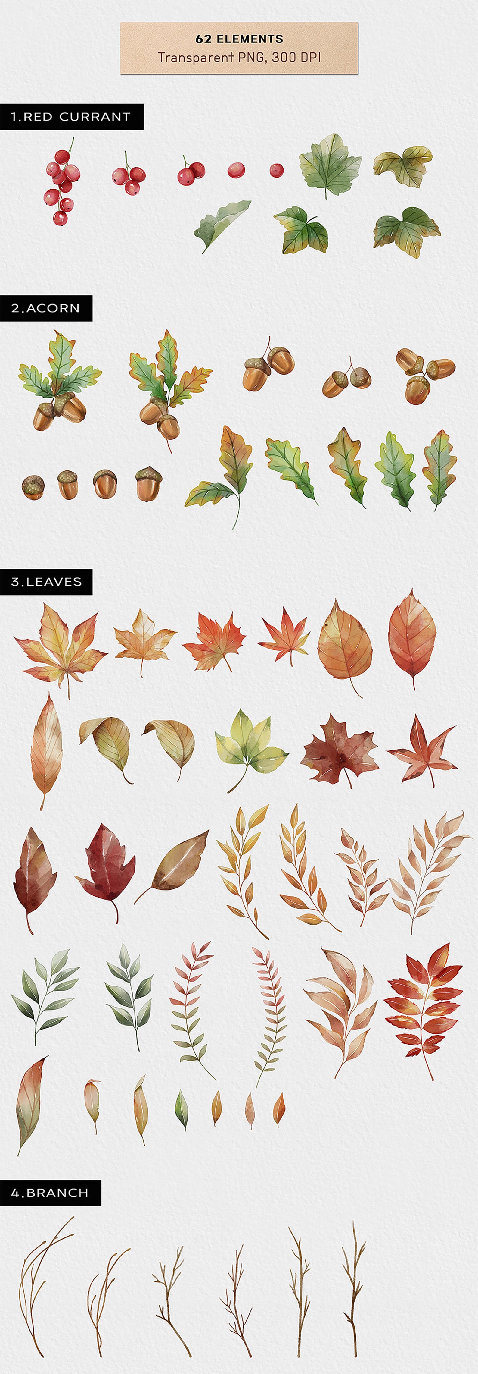 Watercolor Fall Leaves Clipart Autumn Clipart Watercolor - Etsy