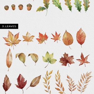 Watercolor Fall Leaves Clipart, Autumn Clipart, Watercolor Clipart ...