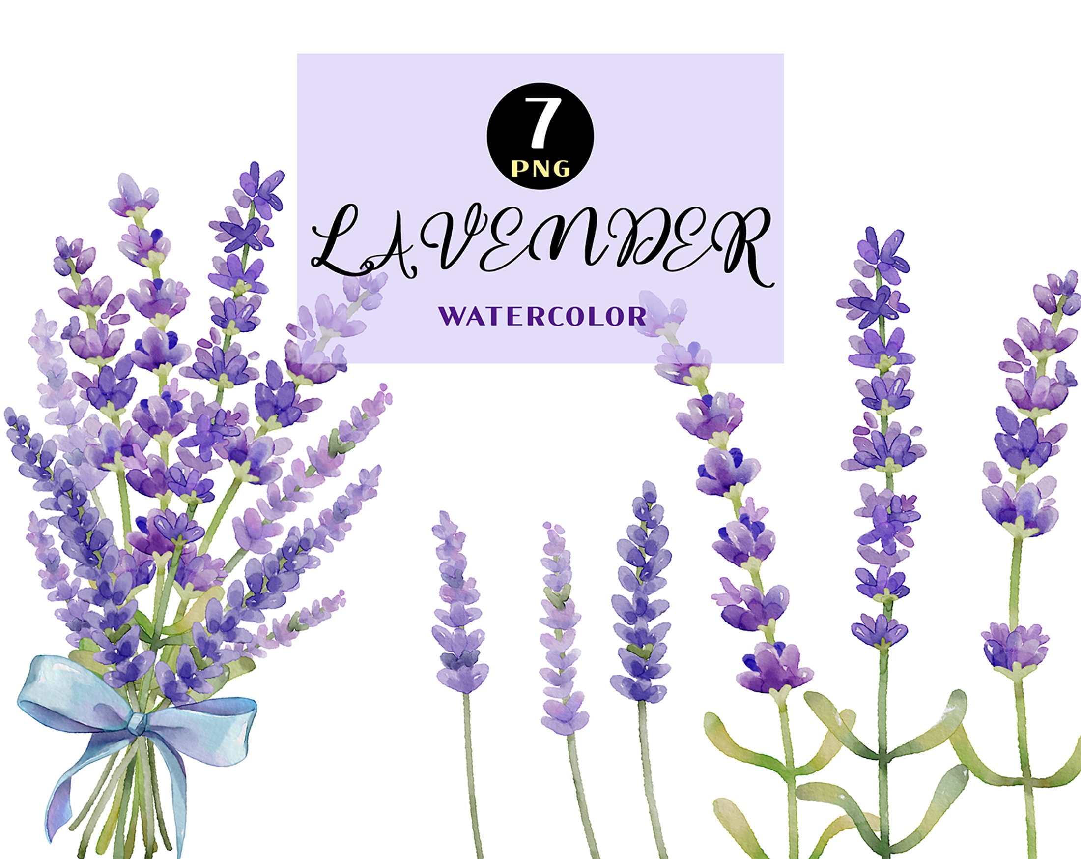 Lavender Clip Art Watercolor Clip Art Watercolor Floral Clip - Etsy