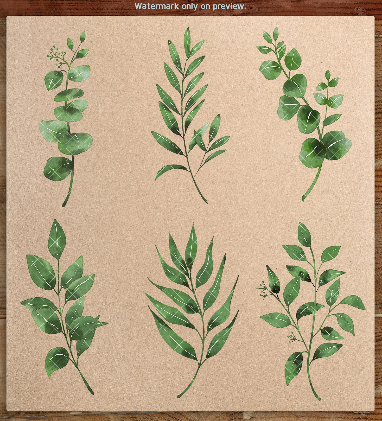 Boho Leaves Clip Art Watercolor Graphics Spring Leaf - Etsy