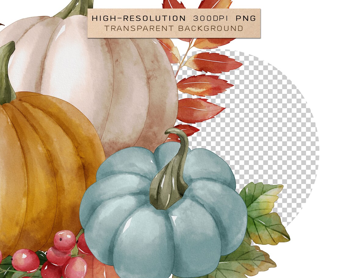 Watercolor Pumpkin Pumpkin Clipart Pumpkin Watercolor - Etsy