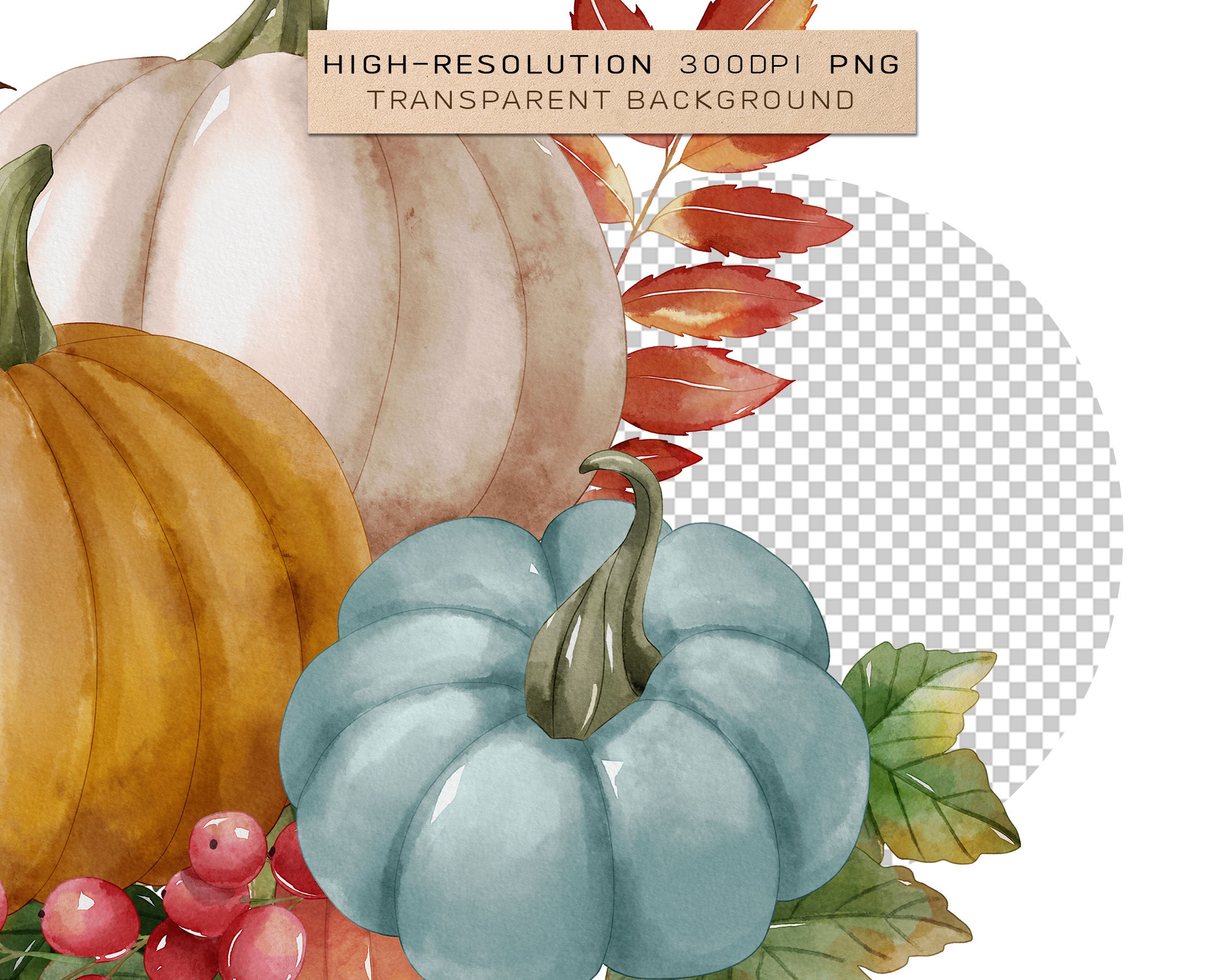 Watercolor Pumpkin Pumpkin Clipart Pumpkin Watercolor - Etsy