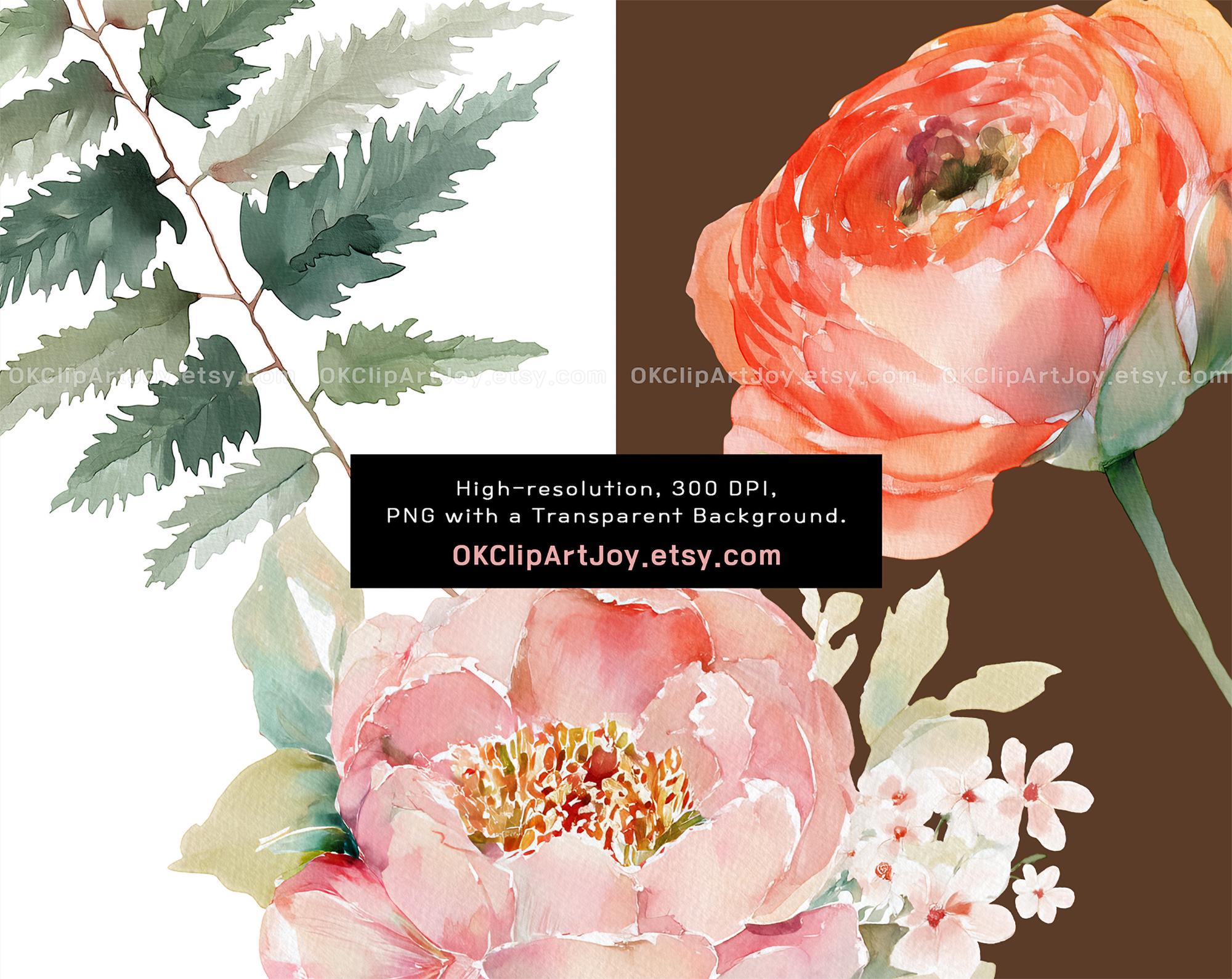Watercolor Peony Clipart: Floral PNG Elements for Spring Wedding ...