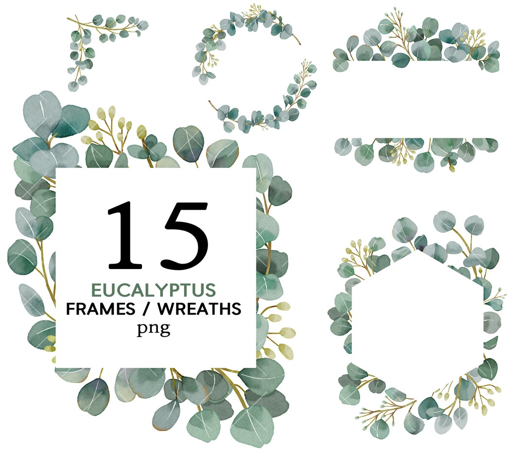 Eucalyptus Png, Greenery Clipart, Leaf Frame Greenery Frames Watercolor ...