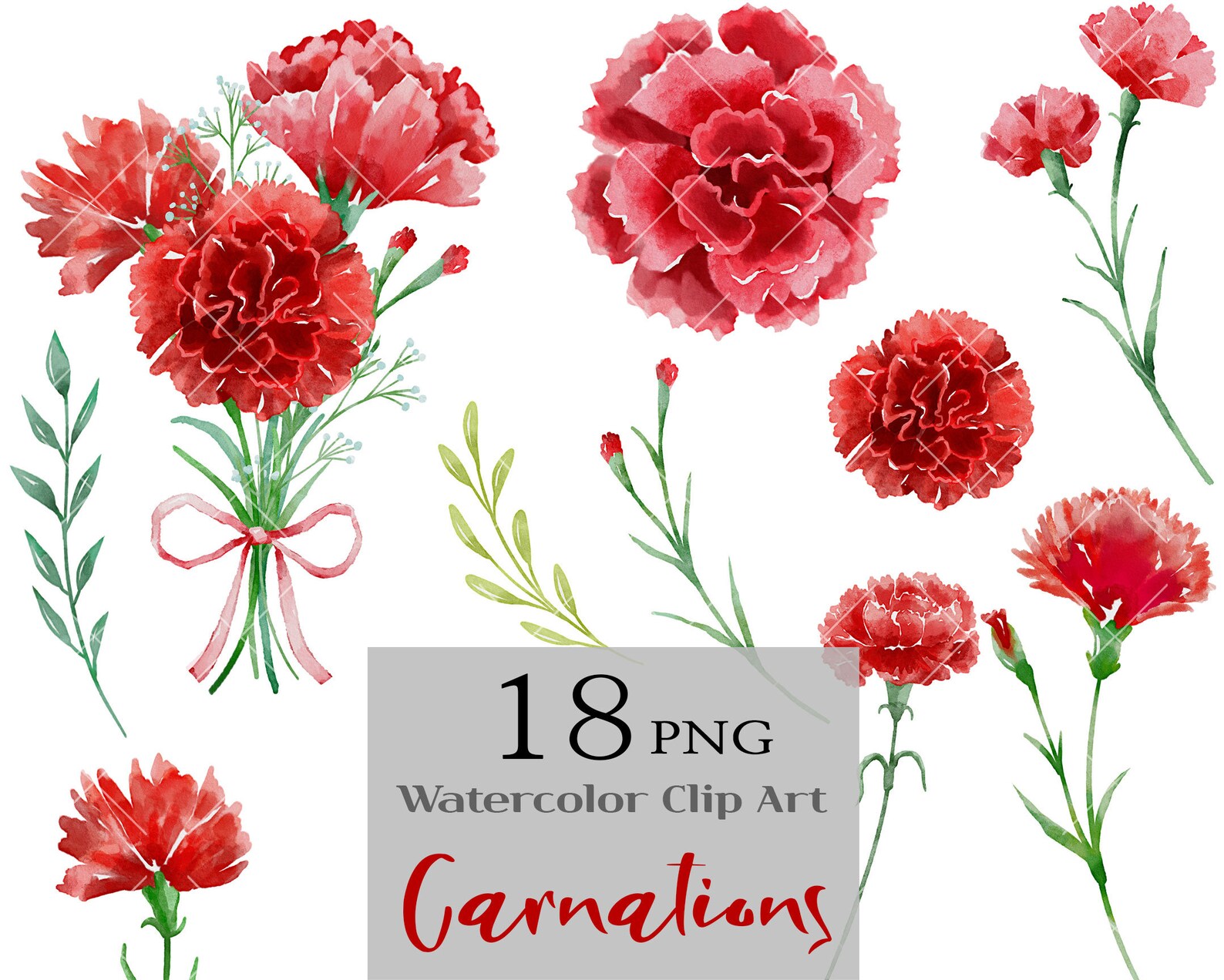 Watercolor Floral Clip Art Red Carnation Elements Leaves - Etsy