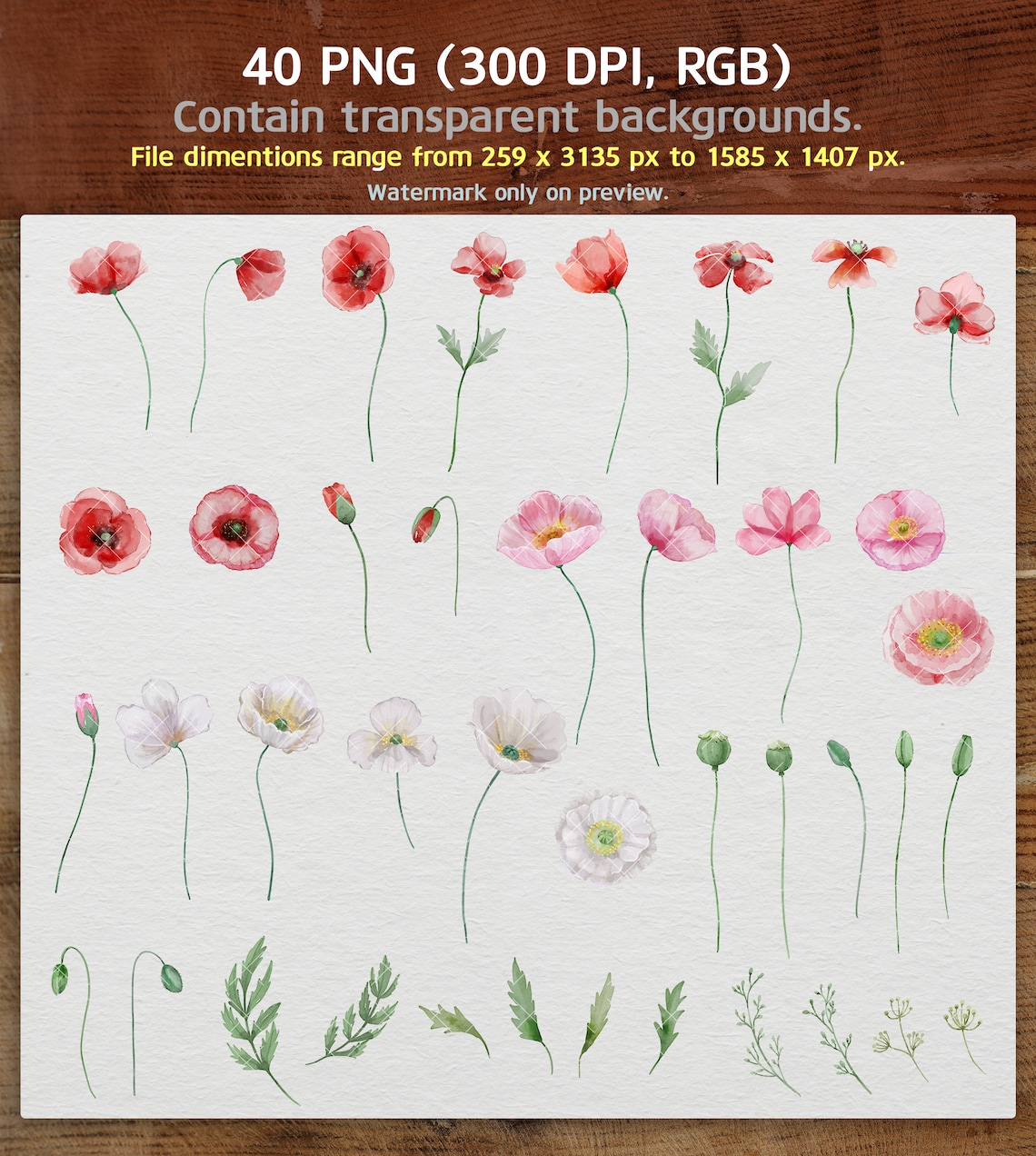 Poppies Flowers Spring Floral Clipart Watercolor Red Poppy - Etsy