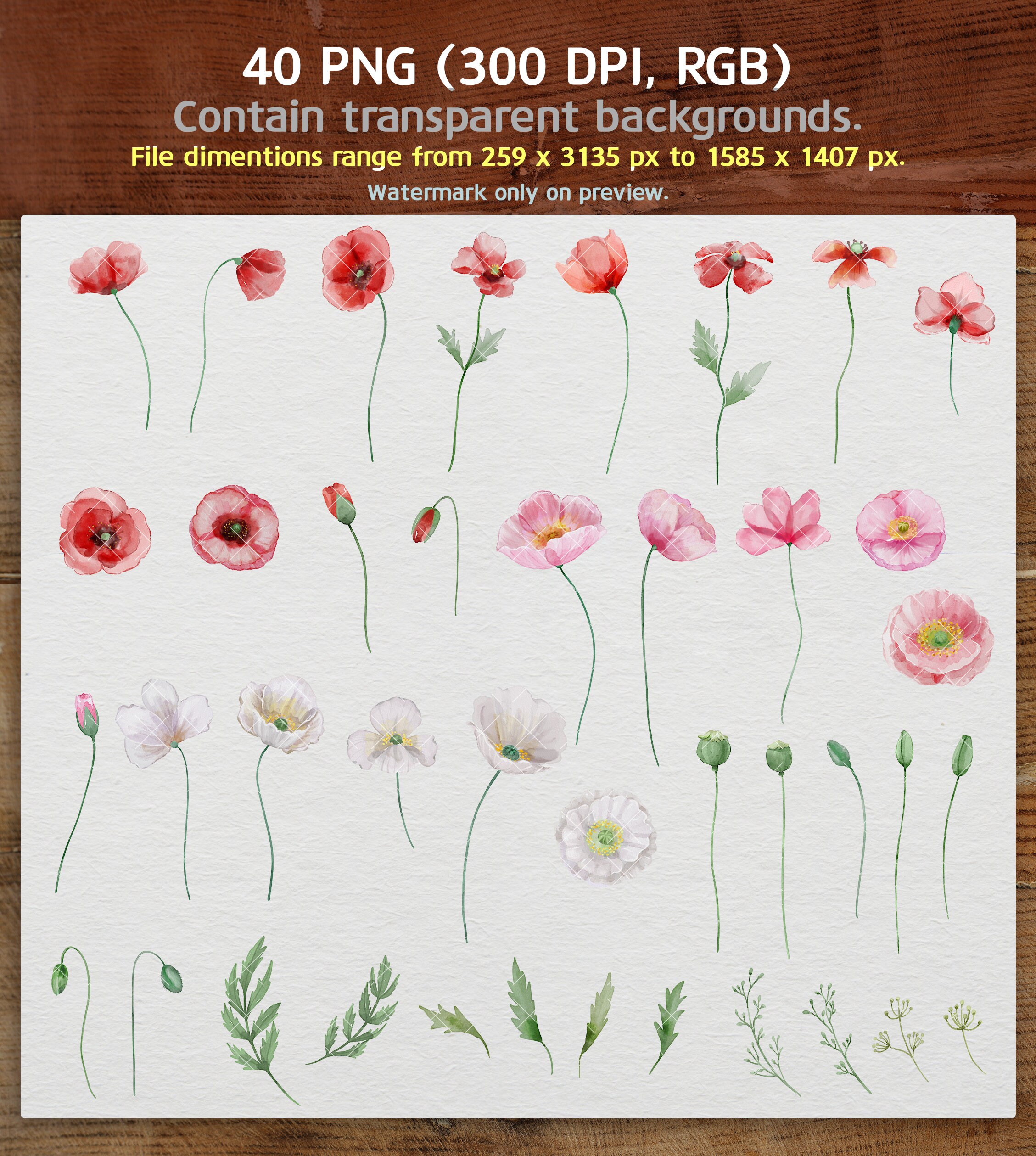 Poppies Flowers Spring Floral Clipart Watercolor Red Poppy - Etsy
