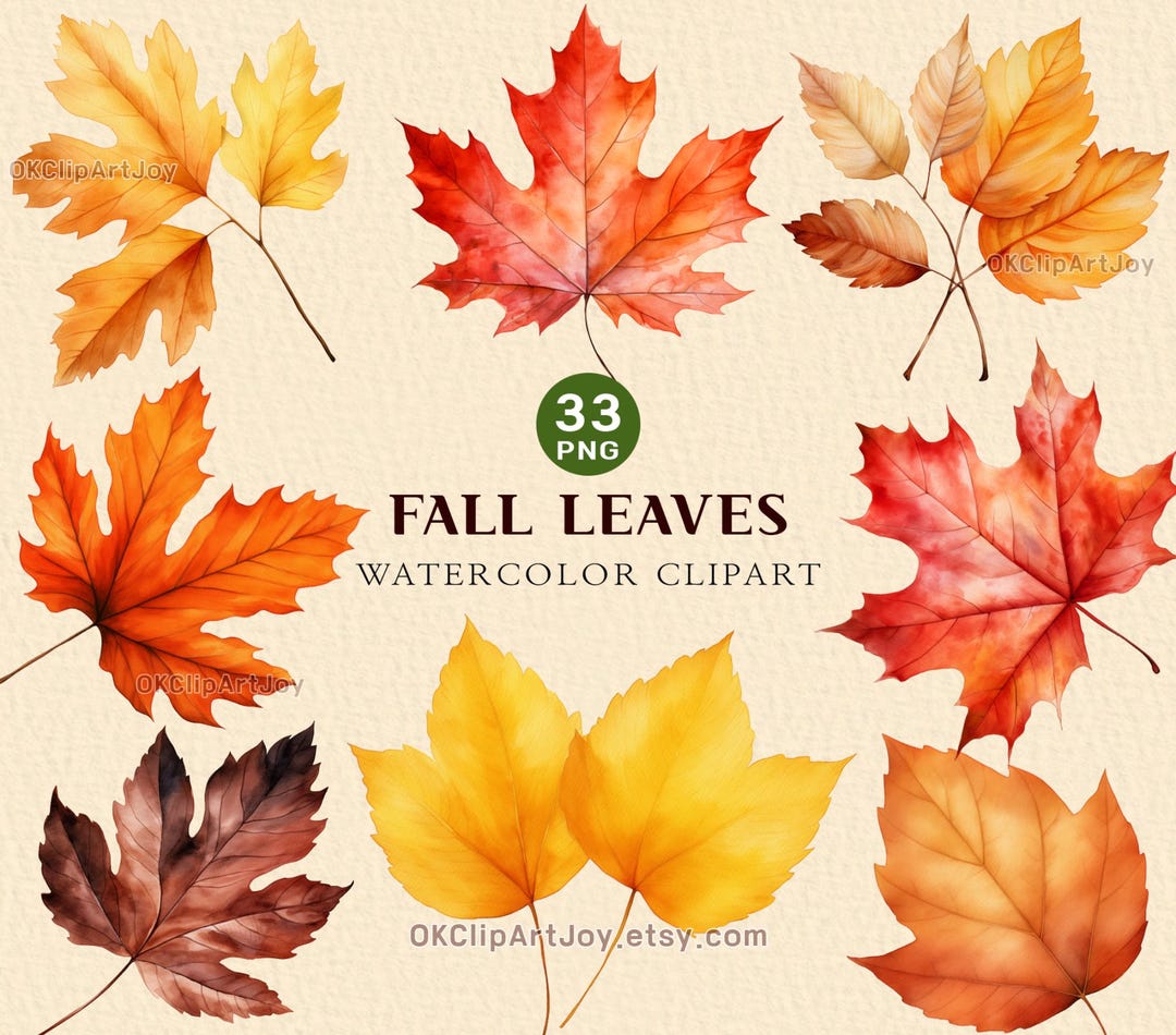 33 PNG Watercolor Fall Leaves Clipart Autumn Leaves Clipart Bundle Fall ...