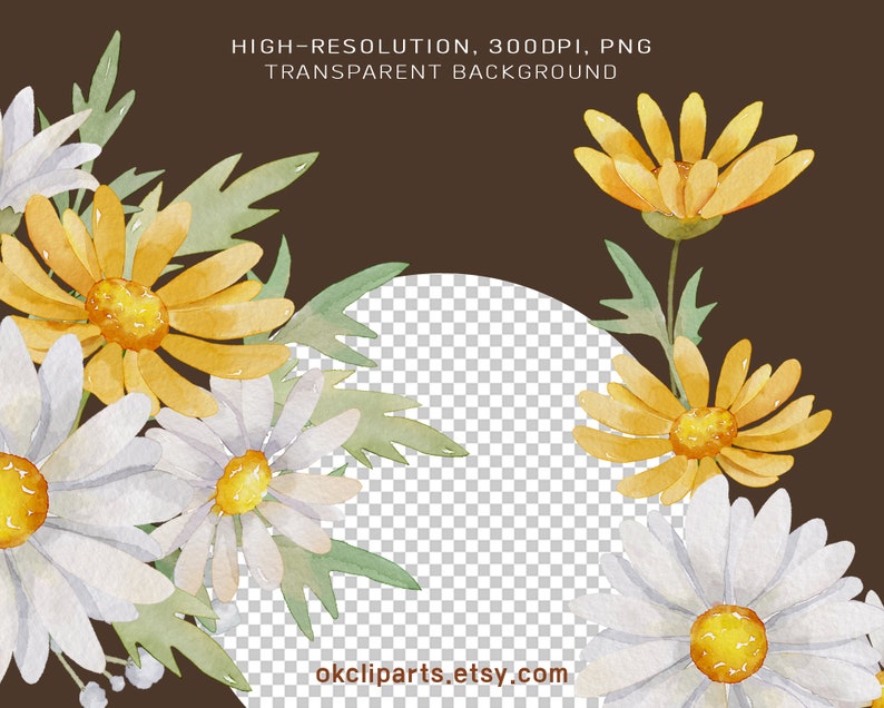 Daisy Clip Art, Spring Floral PNG, Floral Bouquet, Wild Flower Clipart ...