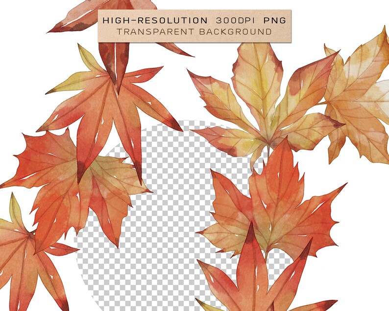 Watercolor Fall Leaf Clip Art Autumn Wreath Thanksgiving | Etsy