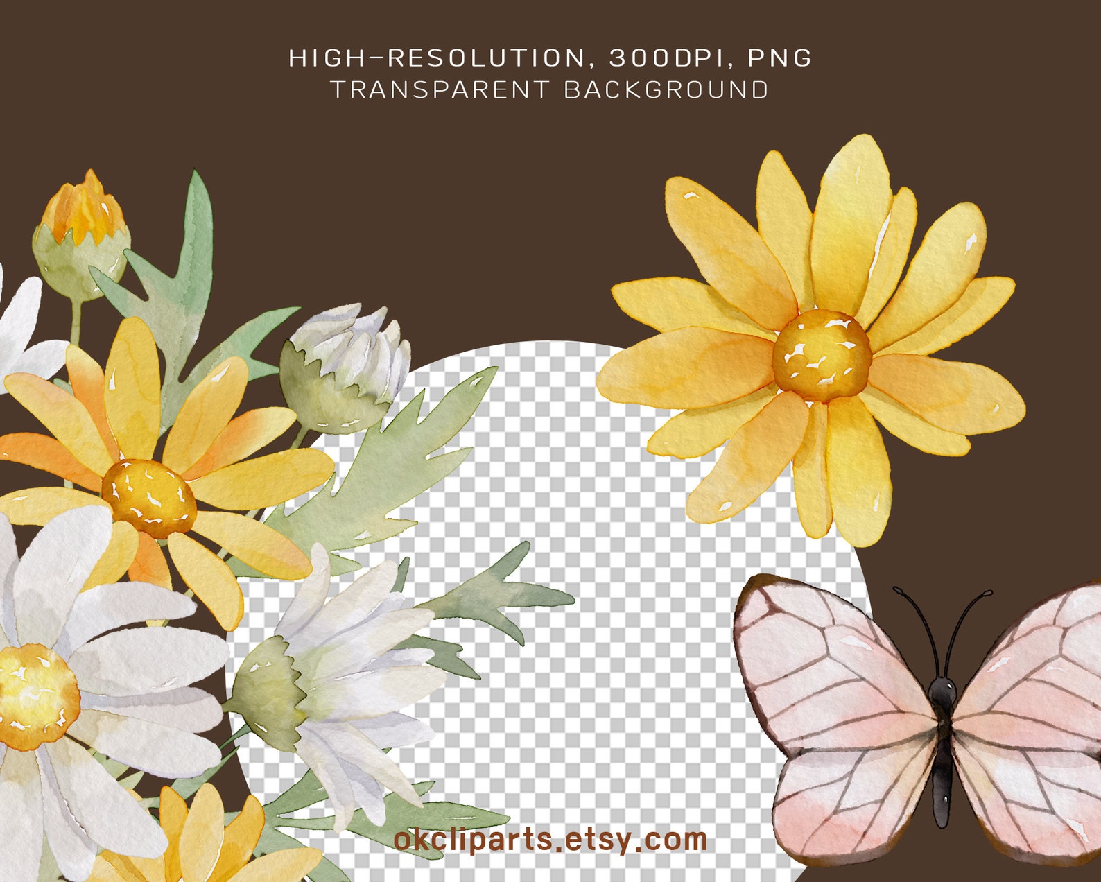 Daisy Clip Art Wild Flower Clipart White Daisy PNG - Etsy