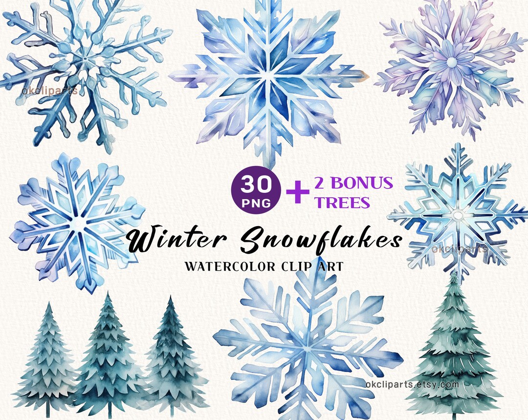 30 Winter Snowflakes Clipart With 2 Bonus Tree Images - Etsy