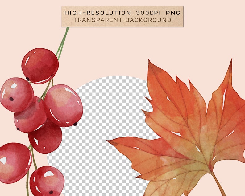 Watercolor Fall Leaves Clipart Autumn Clipart Watercolor - Etsy