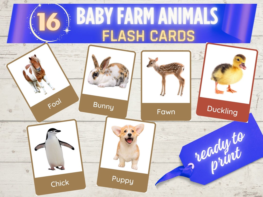 16 Baby FARM ANIMALS Flash Cards, Montessori Pre-school Cards, FREE 16 ...