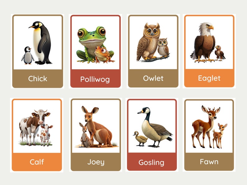 Baby FARM ANIMALS 16 Flash Cards, Cartoon, FREE 16 Coloring Sheets ...