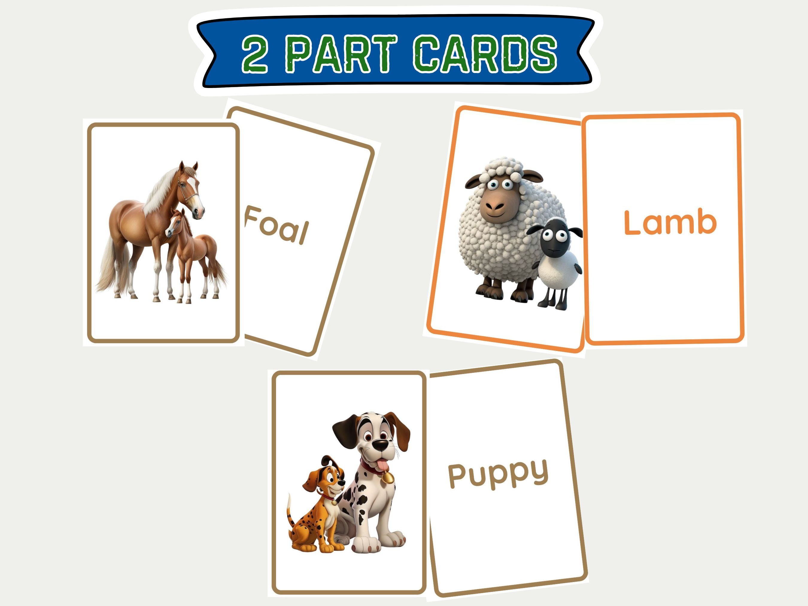 Baby FARM ANIMALS 16 Flash Cards, Cartoon, FREE 16 Coloring Sheets ...