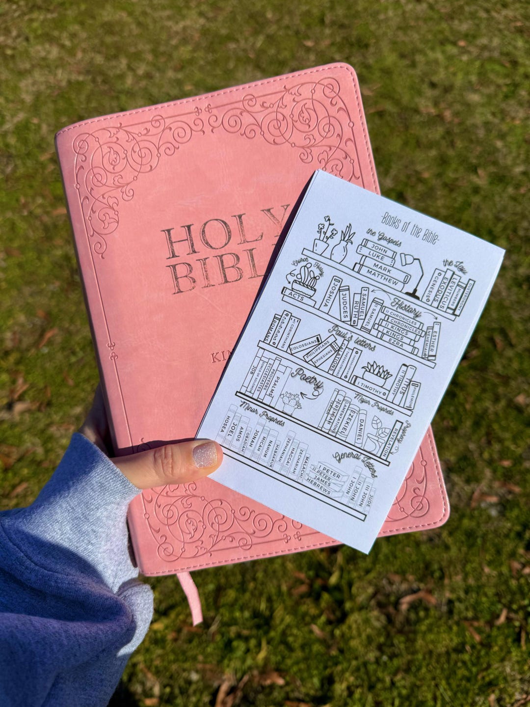 Books of the Bible Book Shelf Tracker, Bible Sticker, Bible Tracker ...