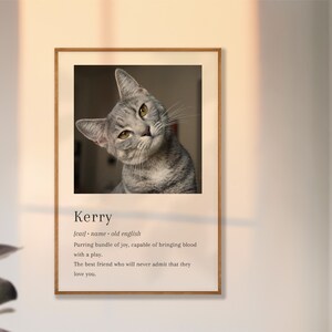 Pet Definition , Pet Definition Print , Custom Pet Wall Art ...
