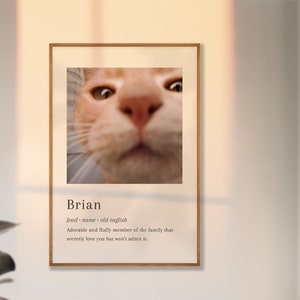 Pet Definition , Pet Definition Print , Custom Pet Wall Art ...