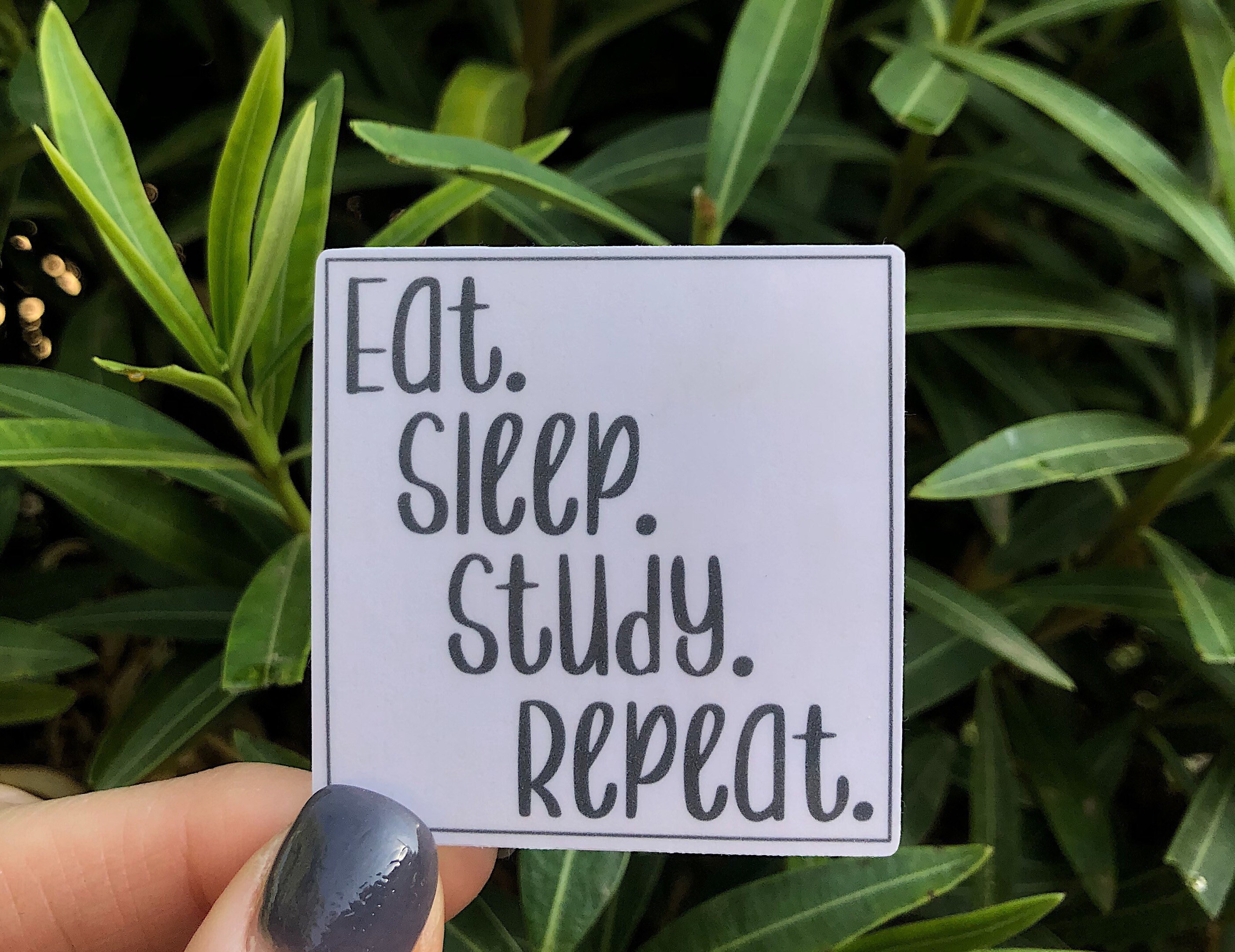 Eat Sleep Study Repeat Nursing School Nursing Student | Etsy