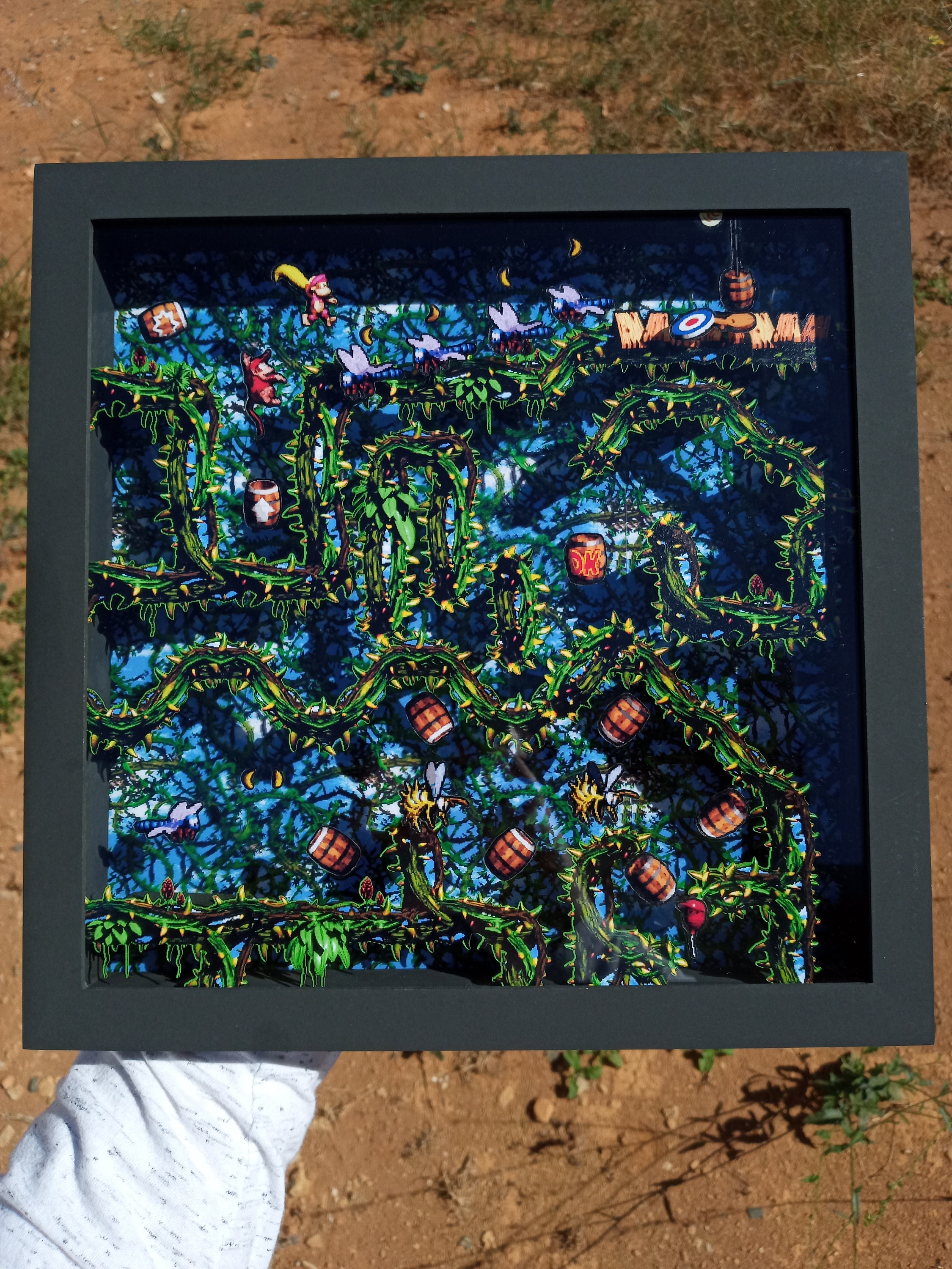 Donkey Kong Country 2 Bramble Blast 3D Shadowbox | Etsy