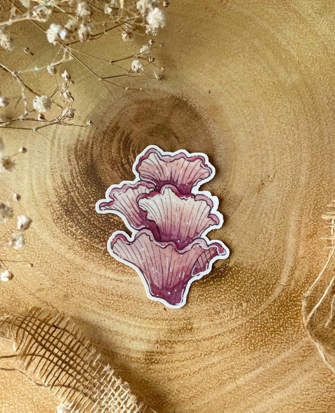 Oyster Fungi Sticker Fungi Sticker Decorative Sticker - Etsy