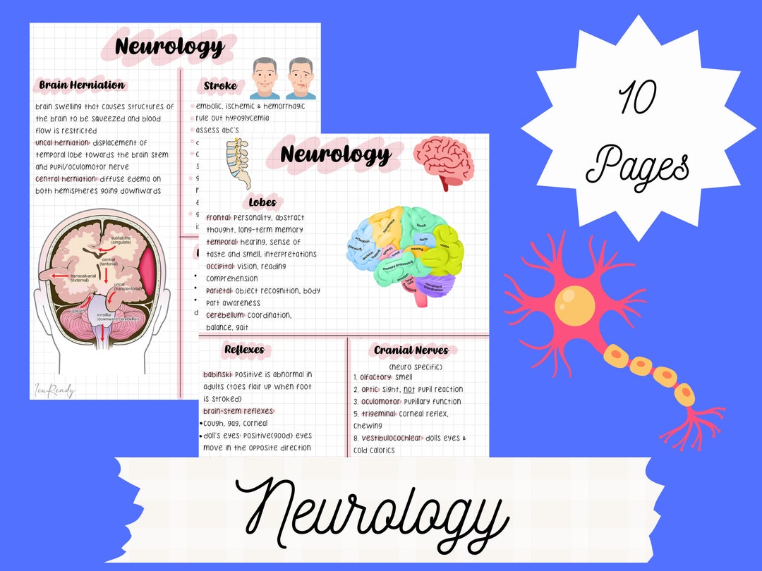 Neurology Notes, ICU Nursing Study Guides, Nursing Student Notes ...