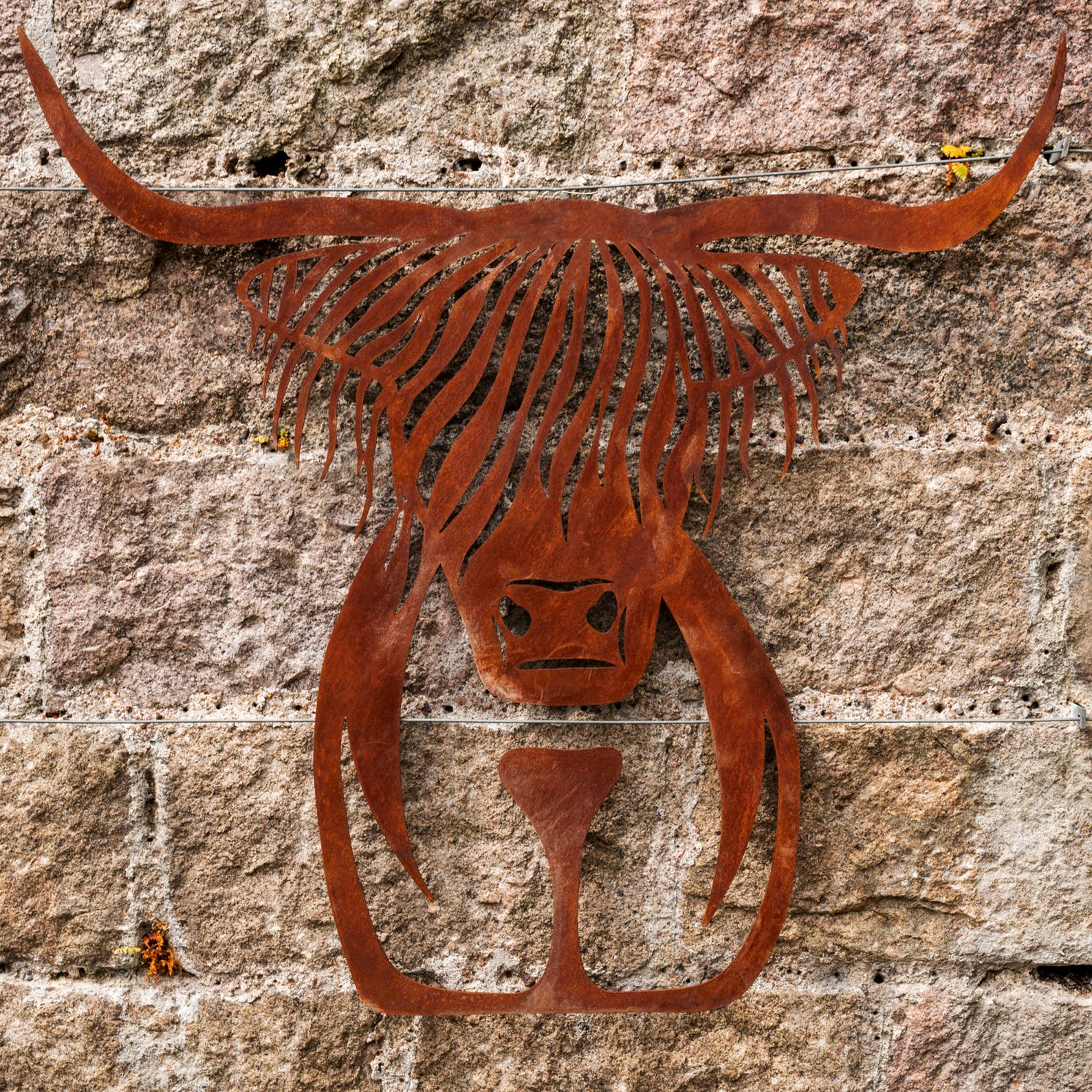 Highland Cow Wall Art in Steel Rust Finish - Etsy