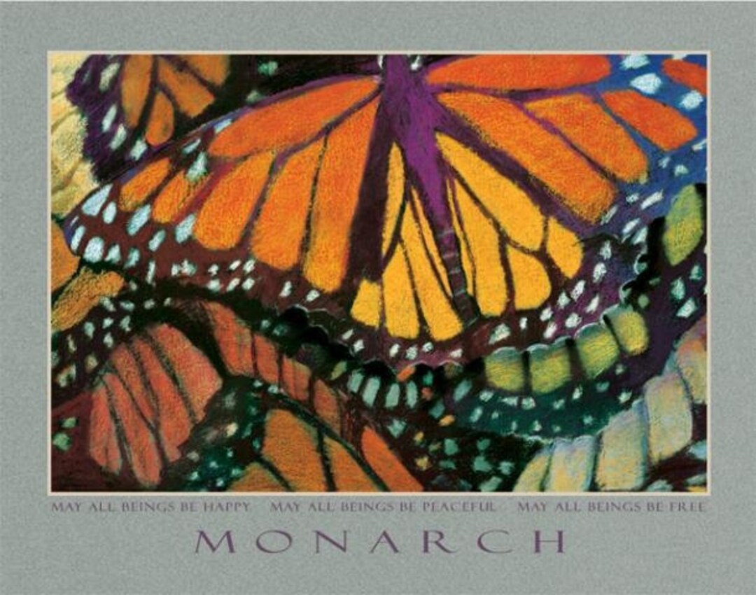 Poster - Monarch Butterfly// Save Species From Endangerment//milkweed ...