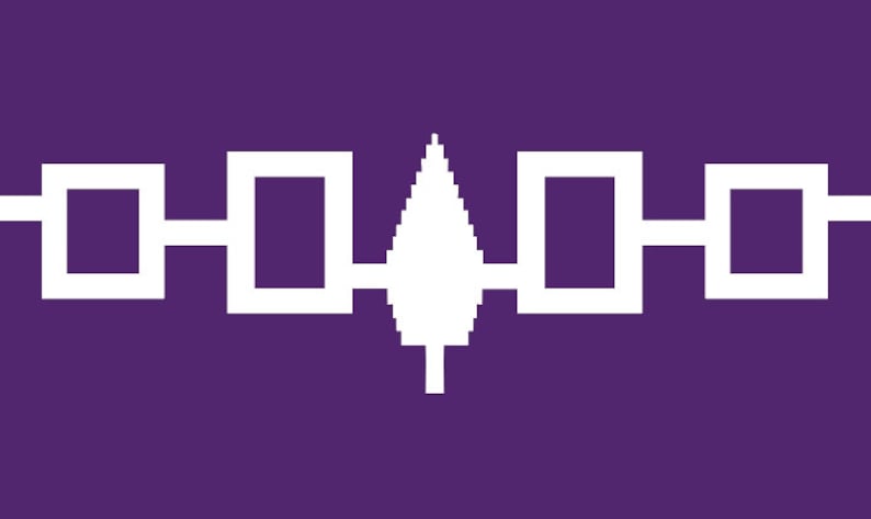 Flag - Haudenosaunee Flag, 5'x3'//indigenous// Native People//five ...