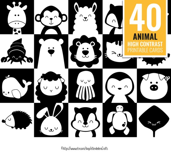 Digital Baby Sensory Black & White Cards 64 PRINTABLE High Contrast ...