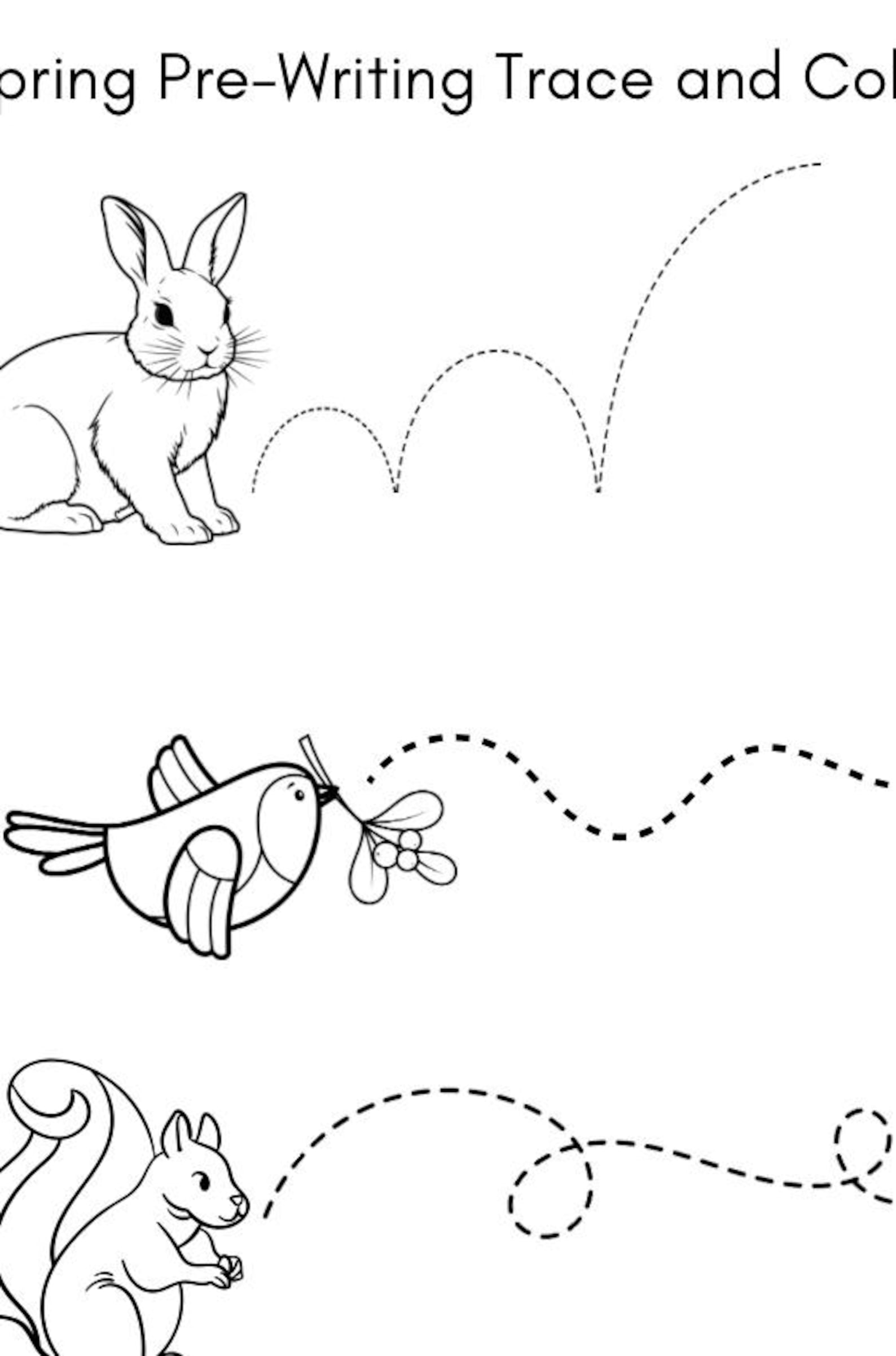 Spring and Summer Pre-writing Trace and Color Worksheets - Etsy